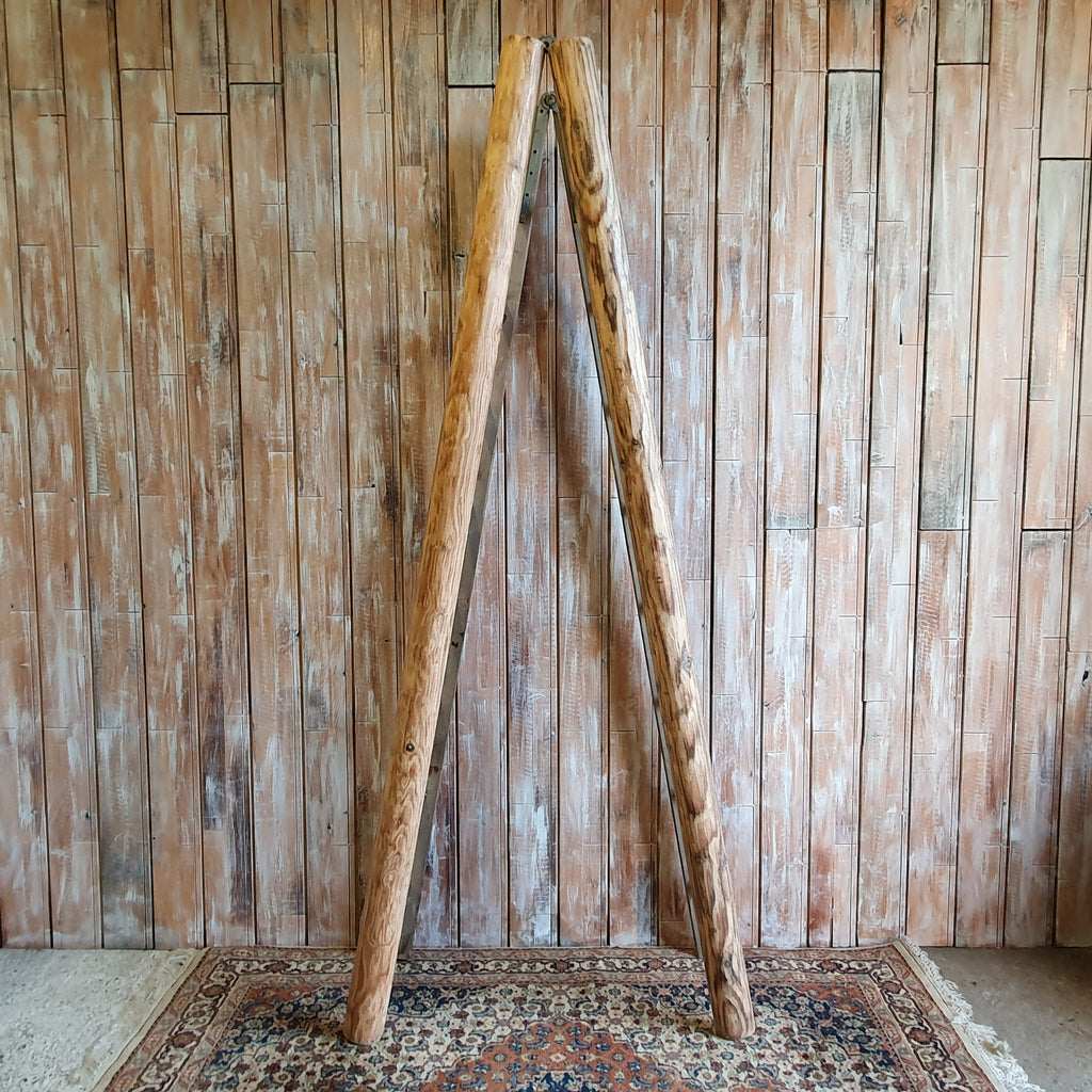 Large Split Ladder – Locate To Create